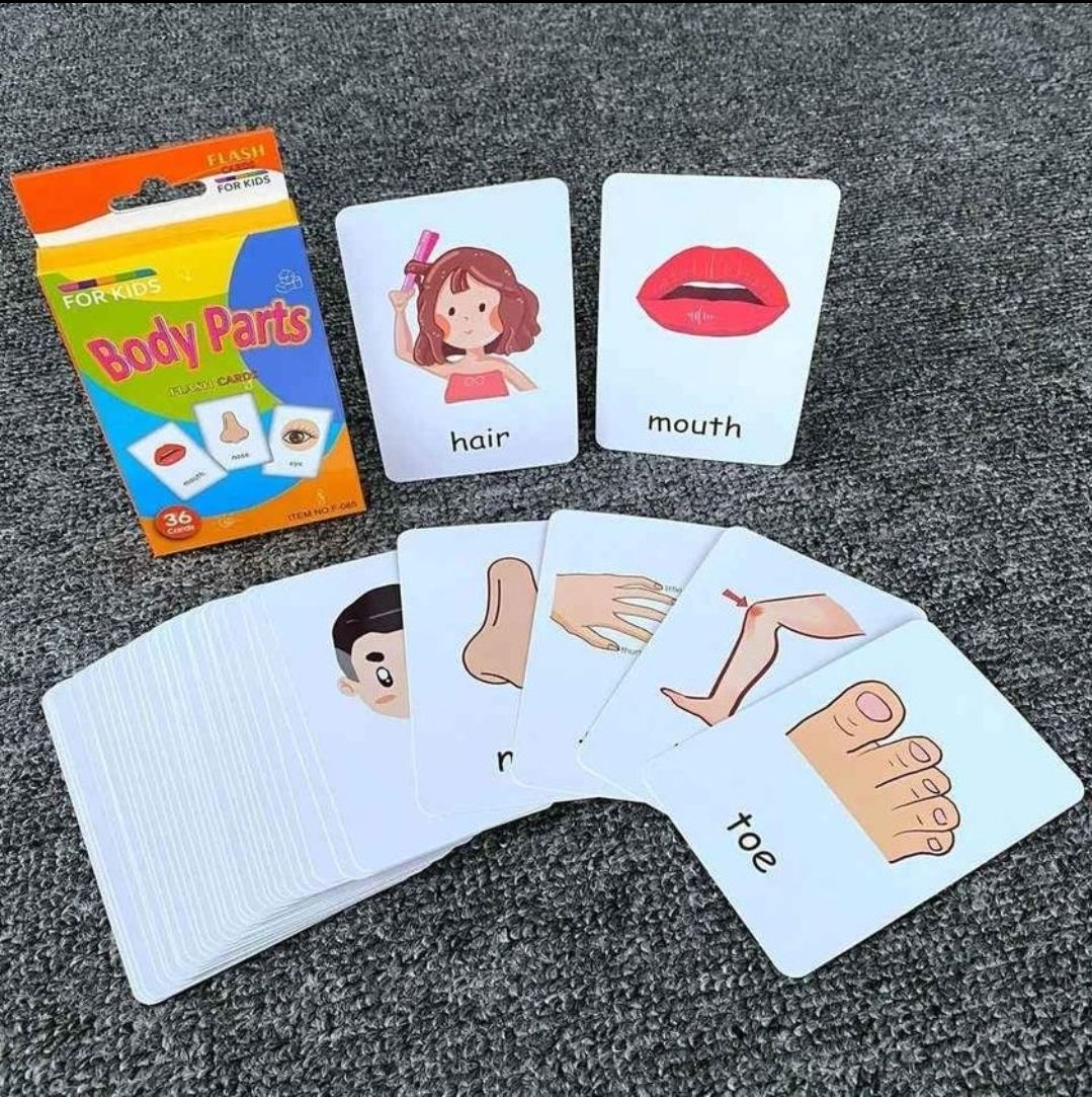 Anatomie Spielzeug + Englisch Lernkarten Körper für Kinder (Neu und ...