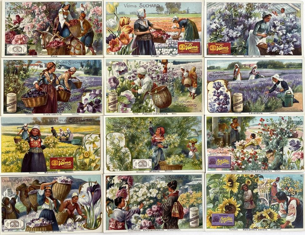 Suchard - Serie von 12 Chromobilder / Anciennes chromos 1910 | Kaufen ...