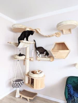 Modularer Wand-Katzenbaum (Gebraucht) in Steffisburg für CHF 65 – nur ...