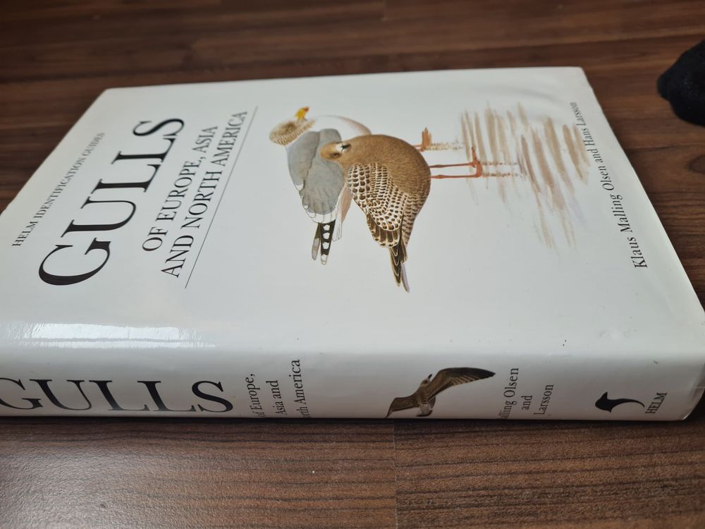 Möwenbestimmungsbuch: GULLS... Neupreis: 73.- | Kaufen auf Ricardo
