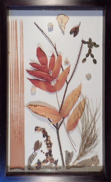 Collage: Natur | Kaufen auf Ricardo