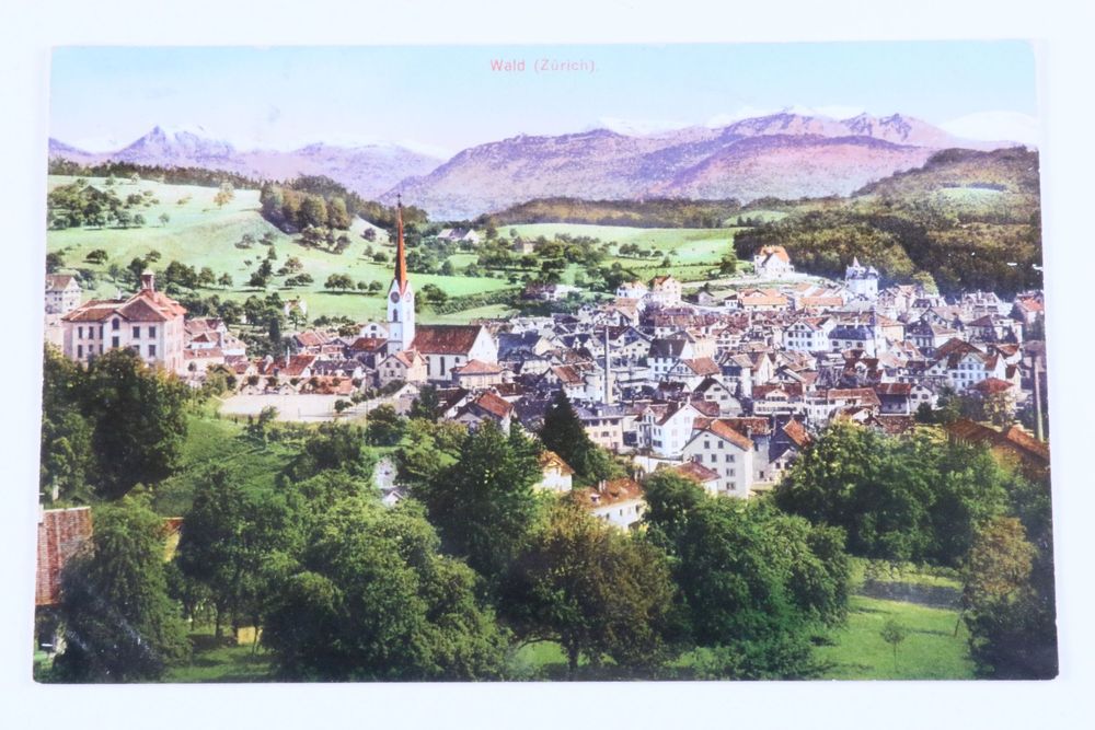 Wald | Kaufen auf Ricardo