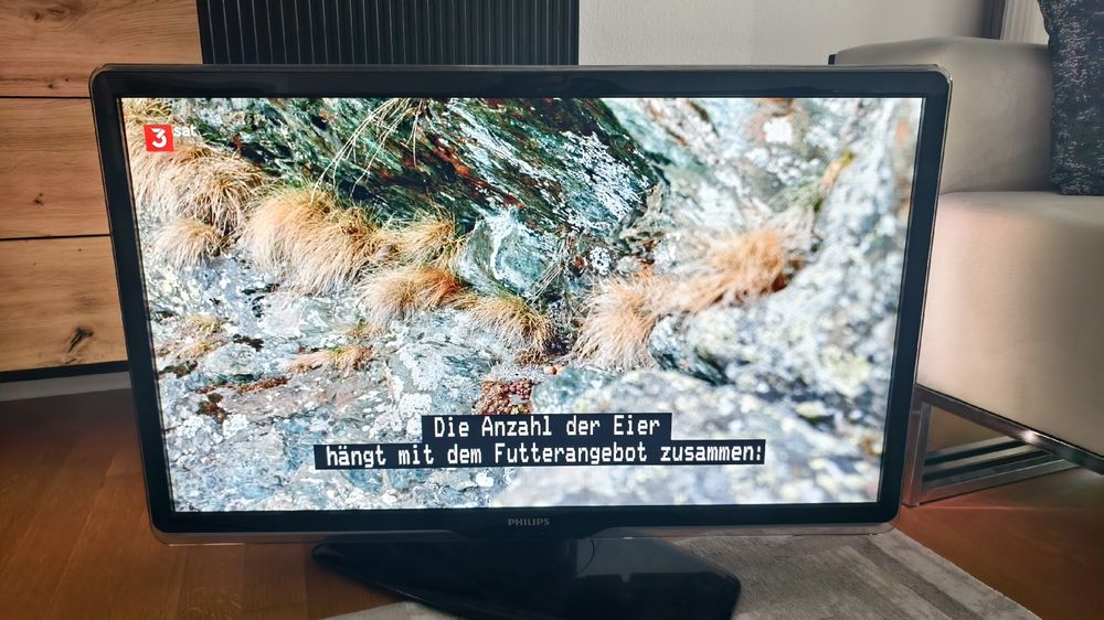 Philips TV, 37 Zoll, (Gebraucht) in Wetzikon ZH für CHF 5 – nur ...