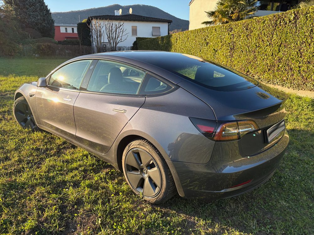 TESLA MODEL 3 - Long Range a trazione integrale (2021) (Usato) a ...