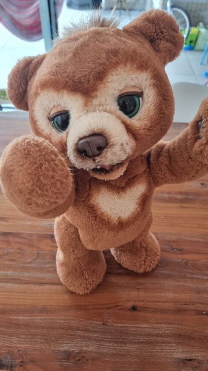 Furreal Bär (Gebraucht) in Horw für CHF 25 – mit Lieferung auf Ricardo ...