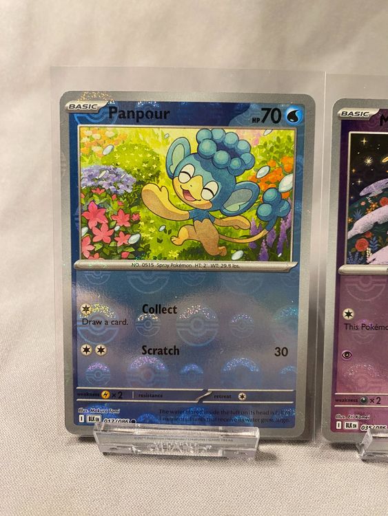 Pokémon / Poke Ball Foil Holo / Black Bolt / EN / Axew etc. (Neu ...