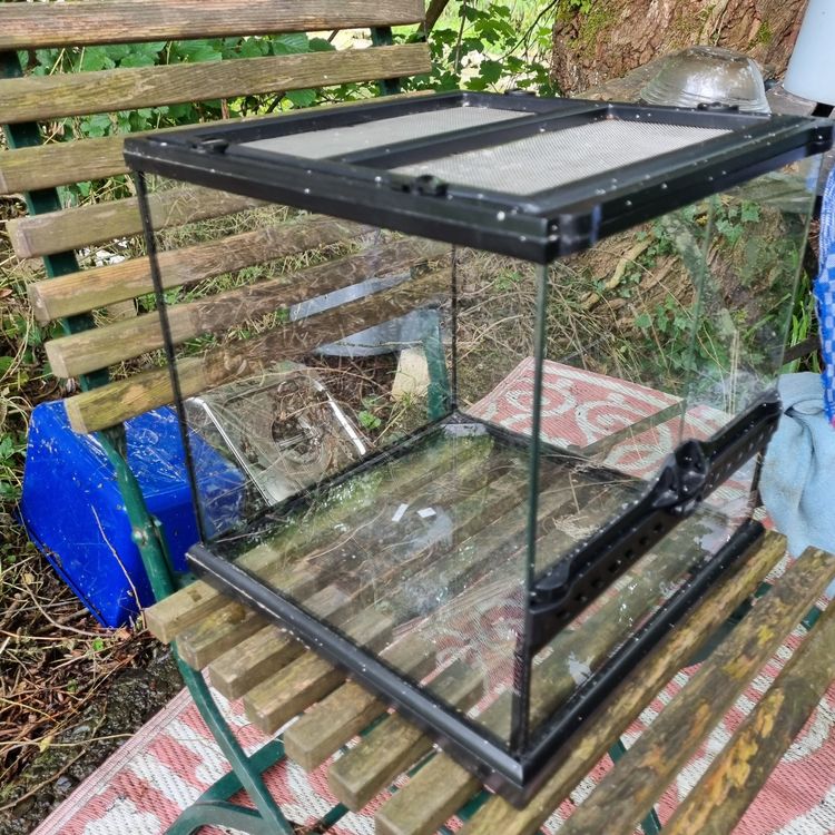 Terrarium Glas (Gebraucht) in Freienstein für CHF 10 – nur Abholung auf ...
