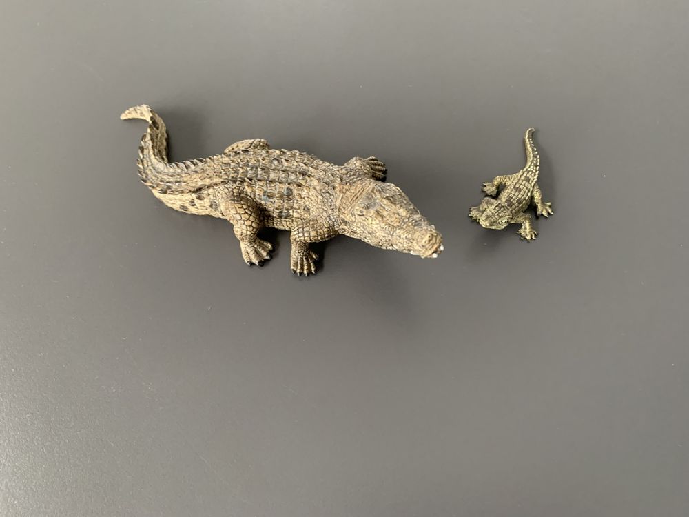 Krokodile | Kaufen auf Ricardo