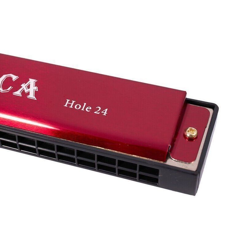 DMTS 24 Loch Mund Harmonika Metall | Kaufen auf Ricardo