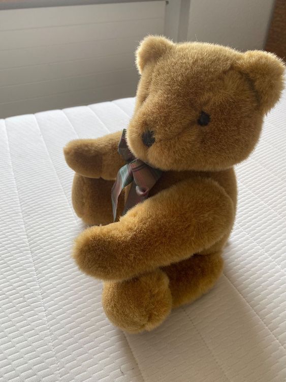 prachtvoller Brumm-Bär - beim Drücken brummt der Bär (Gebraucht) in ...