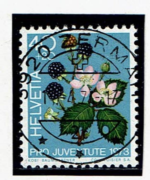 REID2/Pro Ju J246 Vollstempel Zermatt VS | Kaufen auf Ricardo