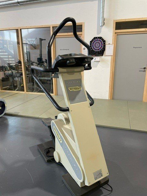 Technogym Step XT -> Profi Stepper - Hometrainer (Gebraucht) in ...