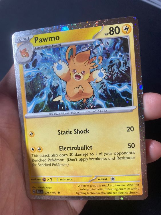 Pawmo 75 Holo Promo - Pamamo - Paldea Evolved - EN ab 1 (Neu (gemäss ...