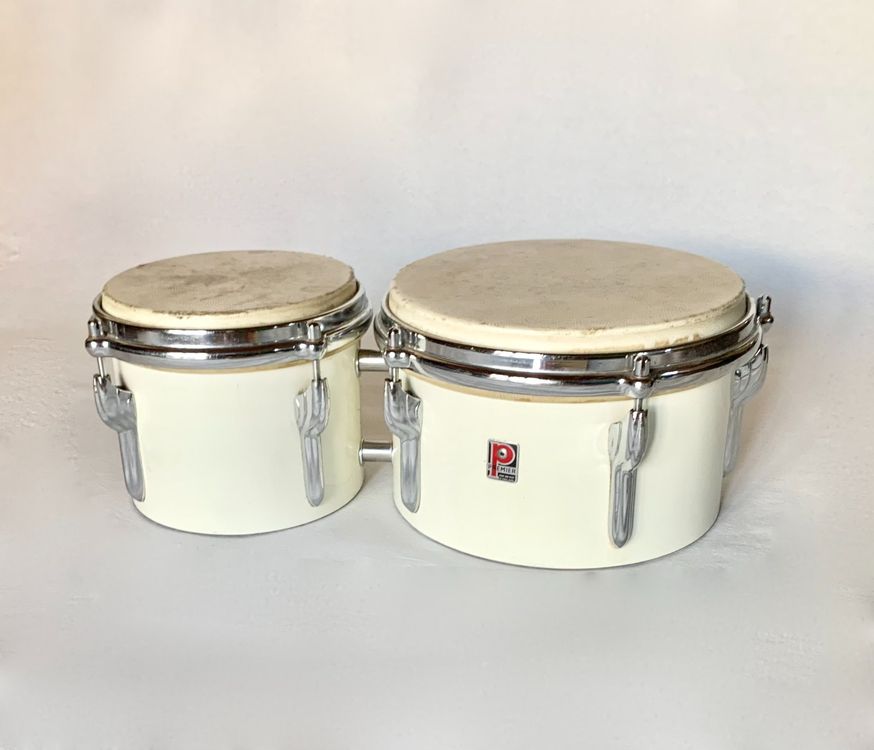 1960's Bongo's der Marke Premier (Gebraucht) in St. Moritz für CHF 80 ...