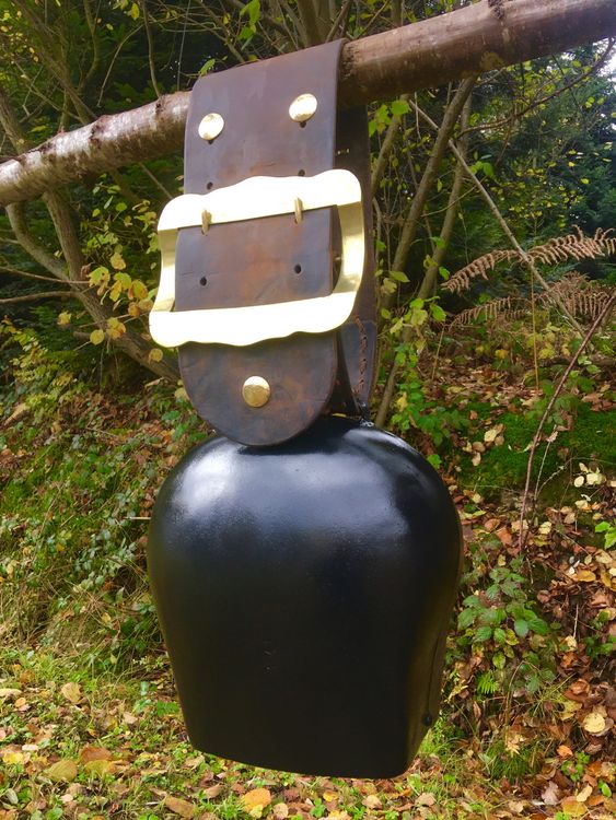 Muotathaler Treichel Nr. 14 (Gebraucht) in Emmenbrücke für CHF 220 ...