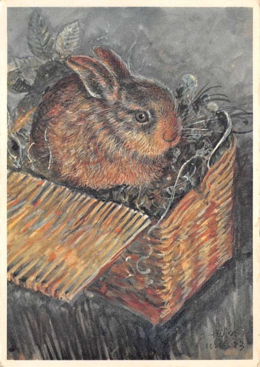 Pro Infirmis, Hermann Huber, Häschen (Gebraucht) in Ottikon b.Kemptth. für CHF 1 – mit Lieferung ...