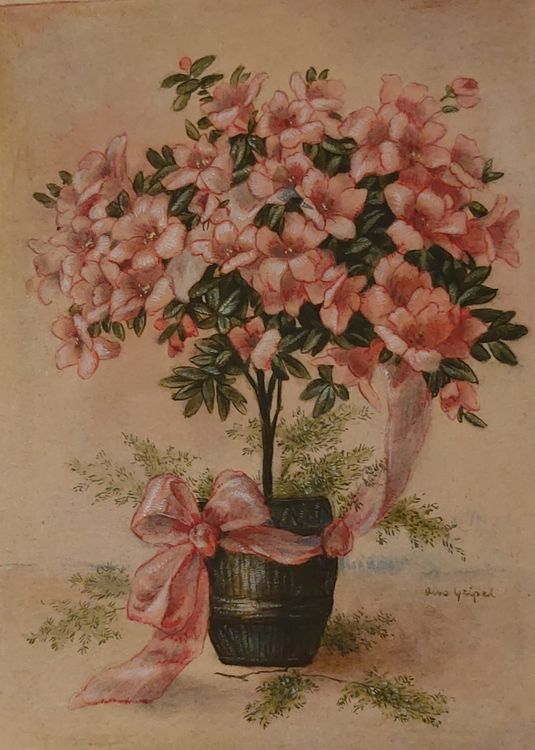 Original Blumenbild von Otto Geipel, Azalee | Kaufen auf Ricardo