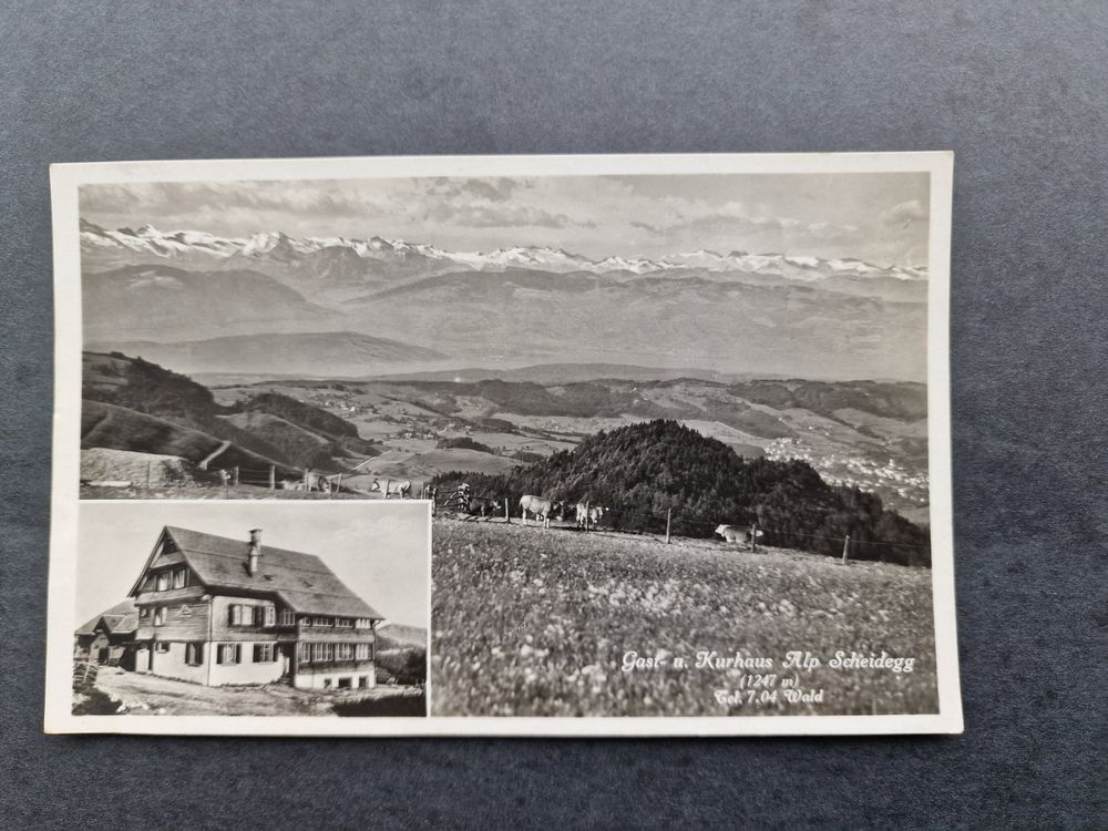 Gast- und Kurhaus Alp Scheidegg | Kaufen auf Ricardo