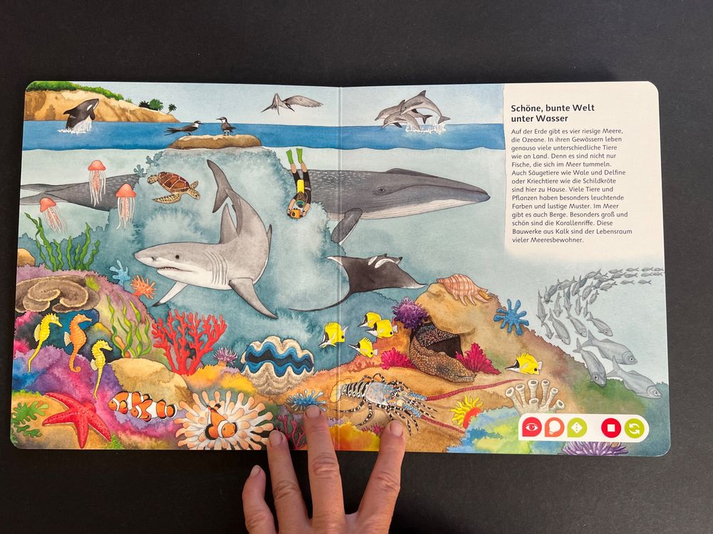 TipToi * Bilderlexikon Tiere * Tip Toi Buch (Gebraucht) in Ennetbaden ...