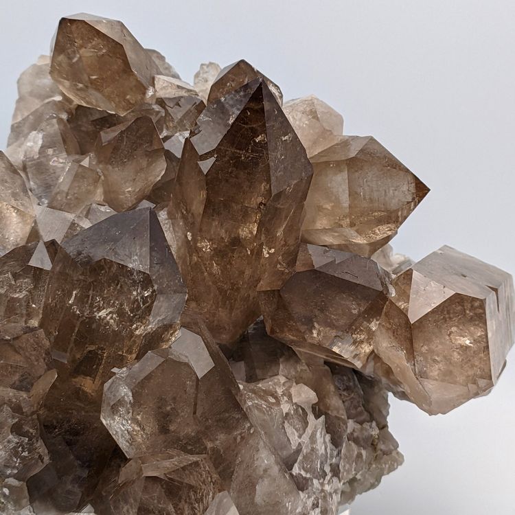 Riesiger RAUCHQUARZ, Mont Blanc, EINZIGARTIG, 5.5 kg (Neu (gemäss Beschreibung)) in Balerna für ...