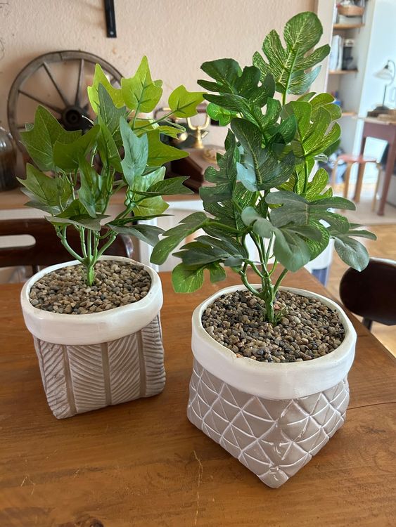 2 Deko Pflanzen | Kaufen auf Ricardo