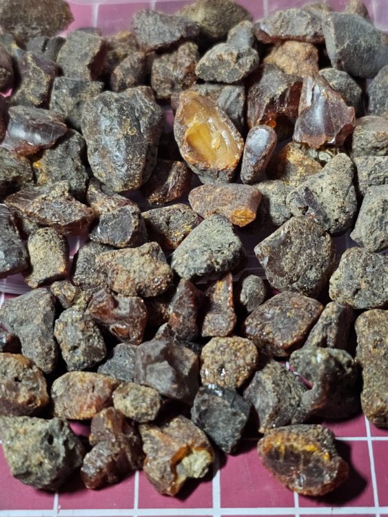 25 gr Rohbernstein lot baltisch roh Bernstein natur rot (Neu (gemäss ...