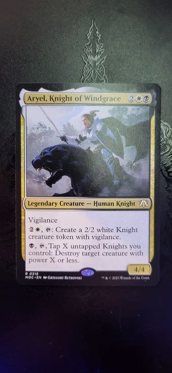 Aryel, Knight of Windgrace (Neu (gemäss Beschreibung)) in Wilen b ...