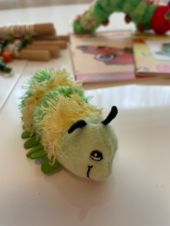 Set Raupe / Schmetterling (Gebraucht) in Gockhausen für CHF 119 – mit Lieferung auf Ricardo kaufen