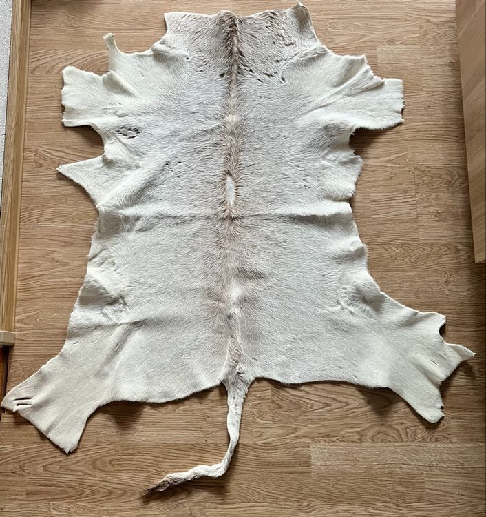 Ziegenfell Teppich, weiß beige nature (Gebraucht) in Steffisburg für CHF 19.95 – mit Lieferung ...