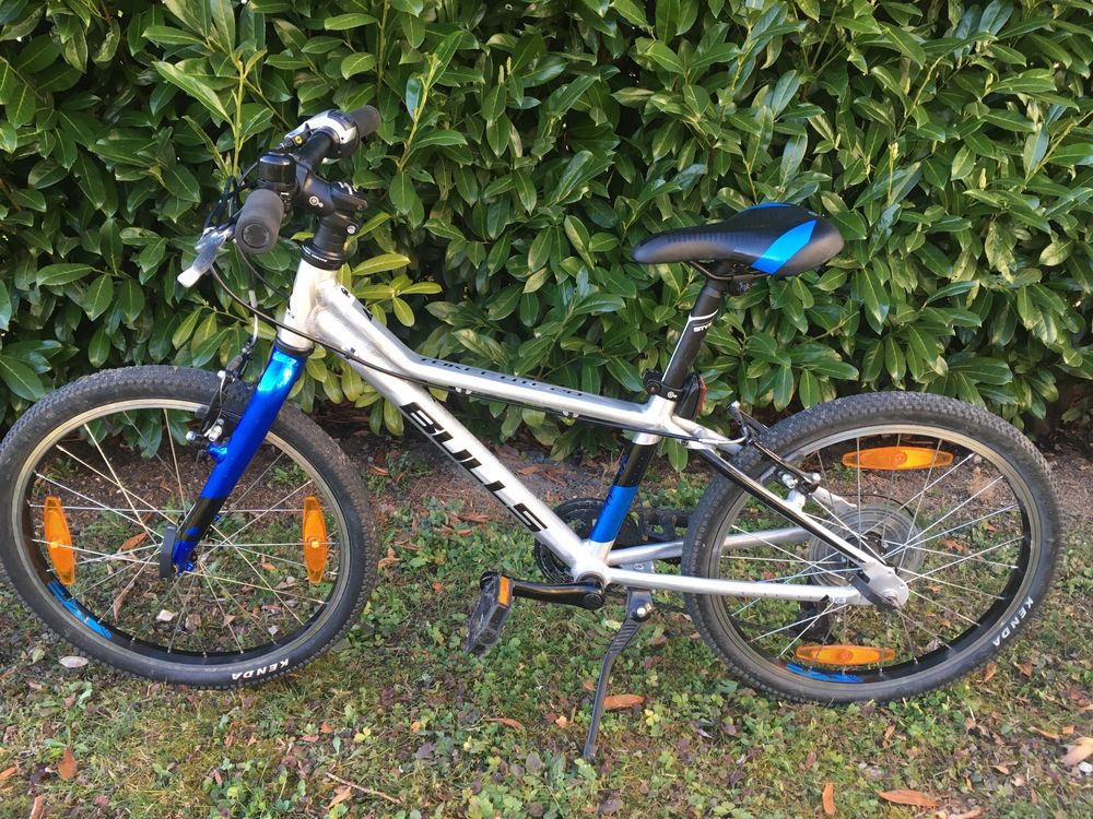 Bulls bike 20 zoll (Gebraucht) in Zeiningen für CHF 219 – nur Abholung auf Ricardo kaufen