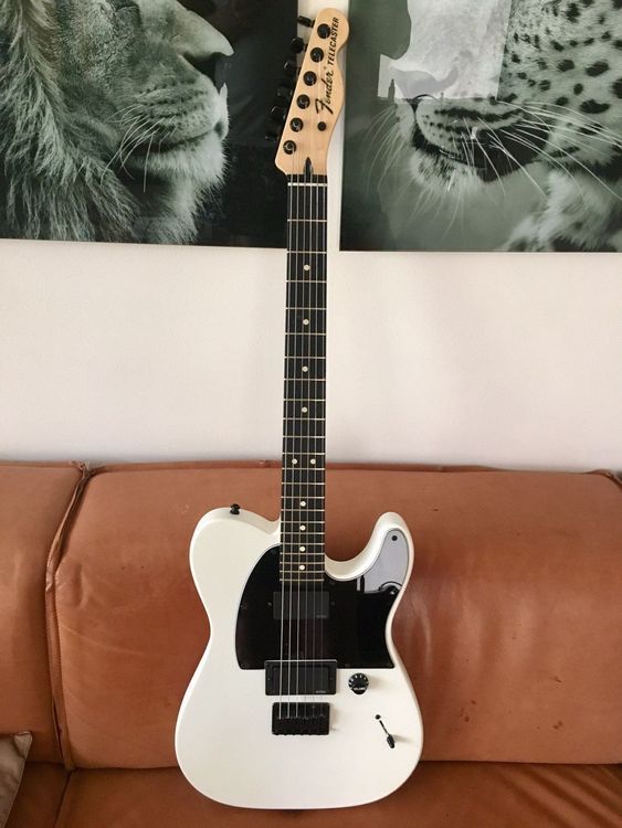 Fender Telecaster Jim Root (Gebraucht) in Magliaso für CHF 500 – mit ...