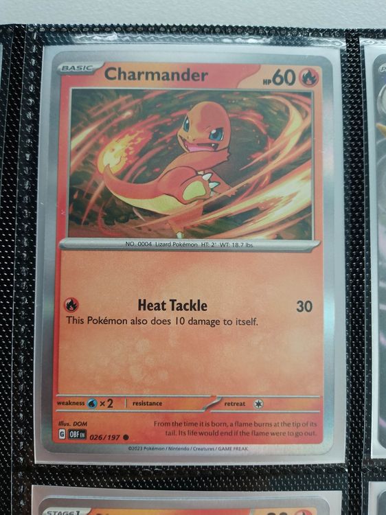 Charmander Promo | Kaufen auf Ricardo