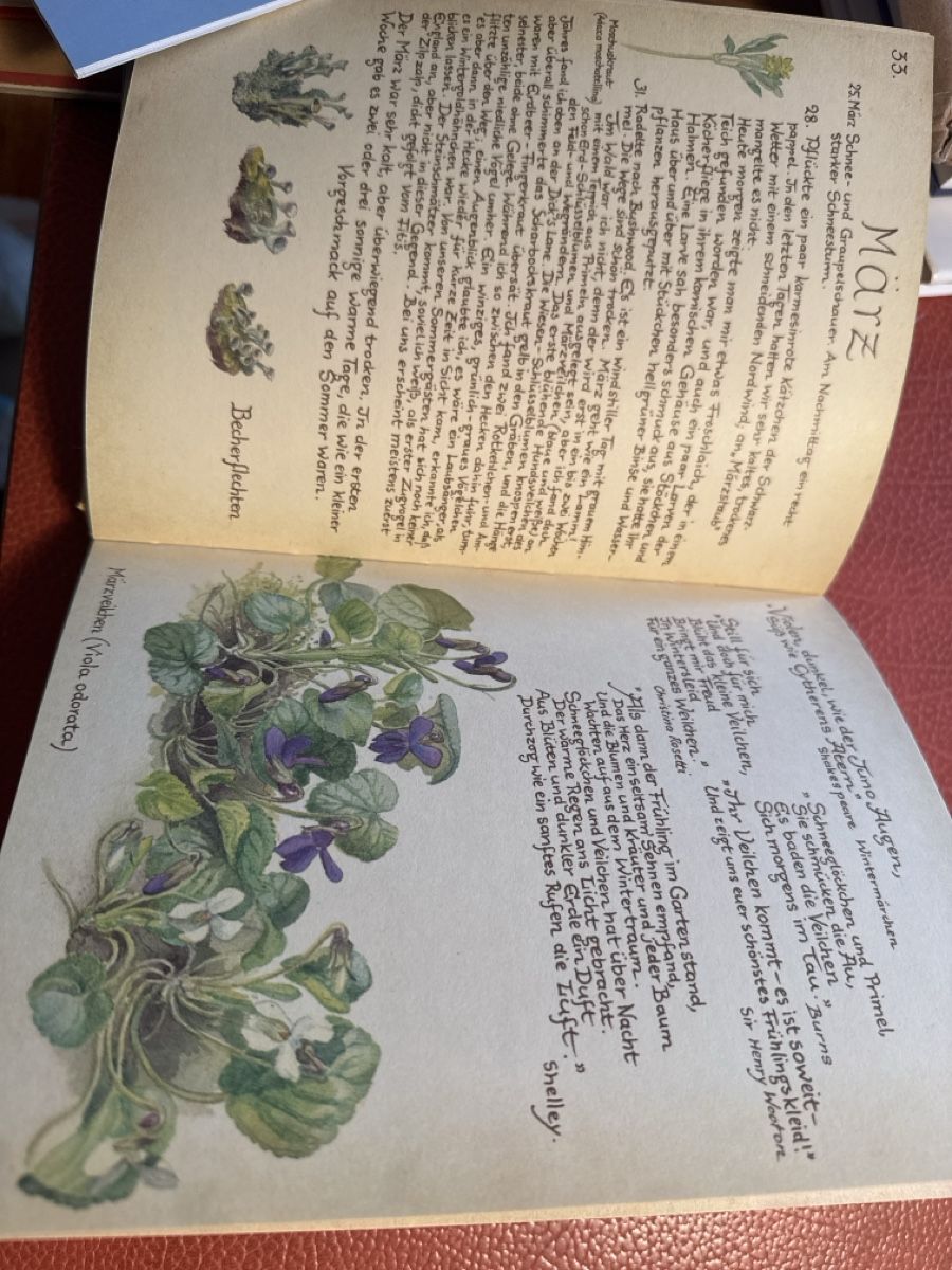 Vom Glück mit der Natur zu leben Tagebuch von Edith Holden (Gebraucht ...