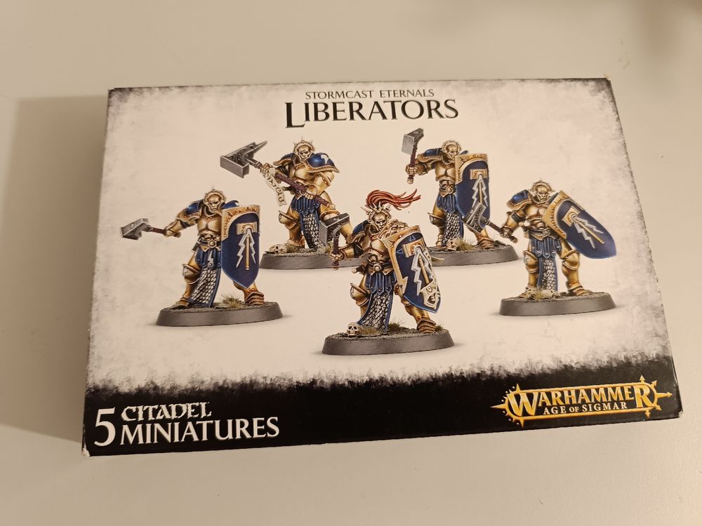 Warhammer Age of Sigmar Stormcast Eternals Liberators | Kaufen auf Ricardo