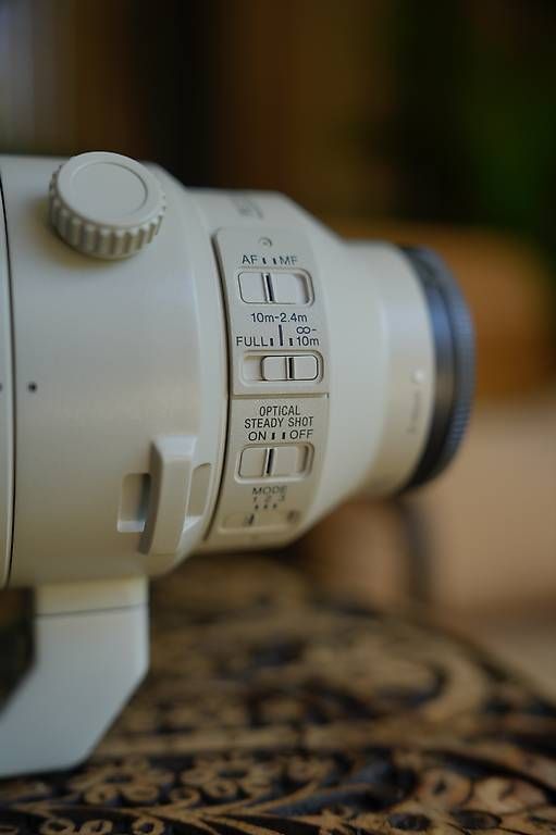 Sony FE 200-600mm f/5.6-6.3 G OSS (D'occasion) à Oberkirch LU pour CHF ...