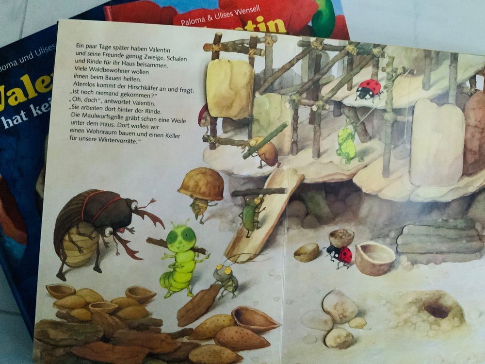 3X Valentin die kleine Raupe Kinderbuch (Gebraucht) in Hergiswil NW für ...