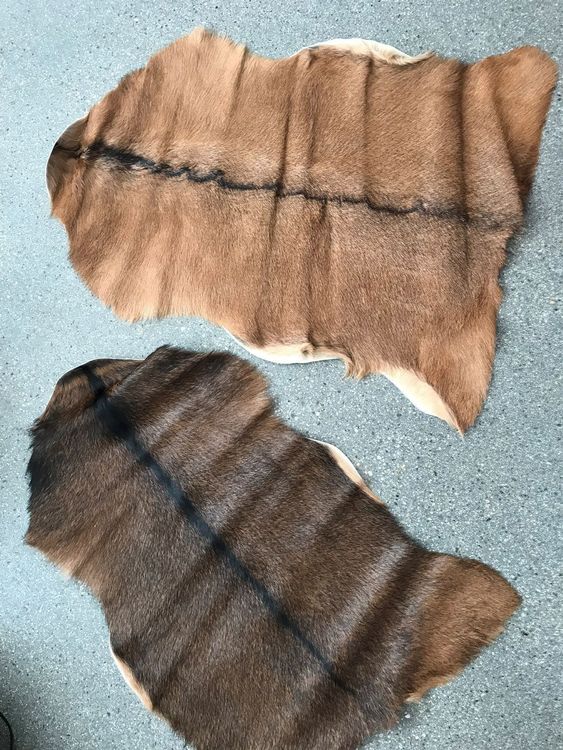 Lot of two, new animal hides (Neu (gemäss Beschreibung)) in Lausanne ...
