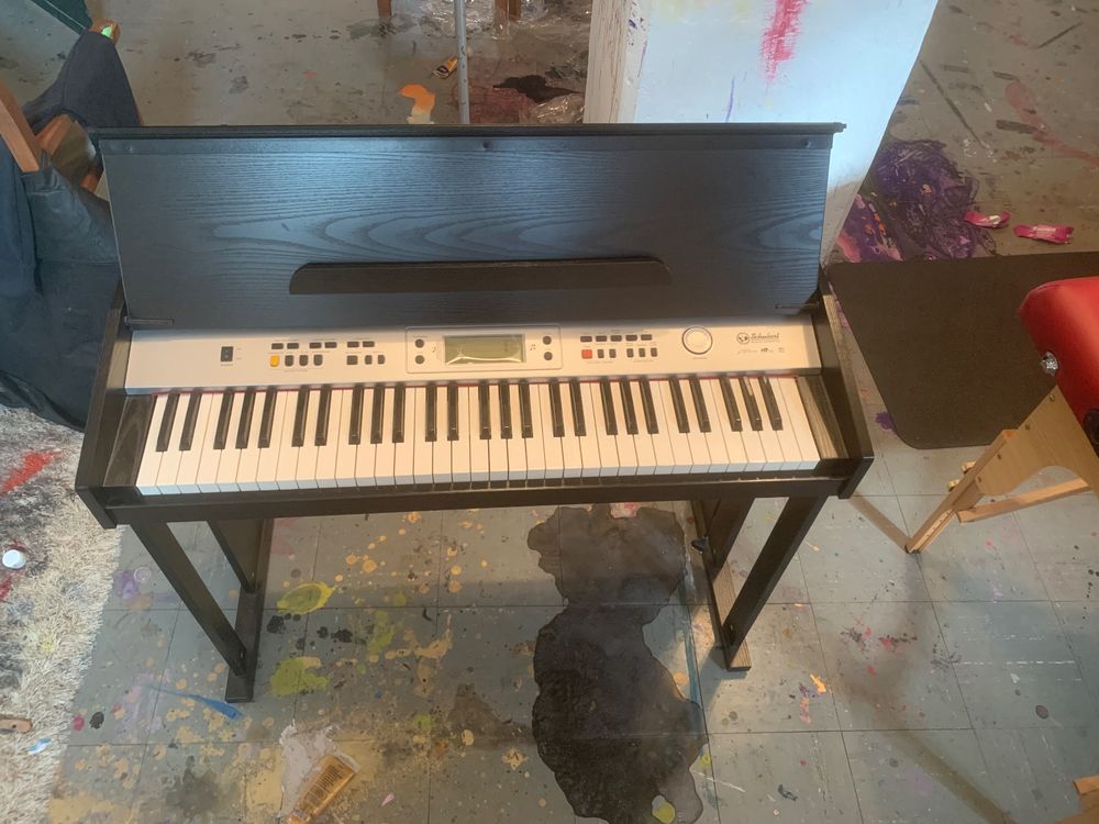 Elektro-Keyboard Schubert Carnegy-61 E-Piano (Gebraucht) in Wittenbach ...