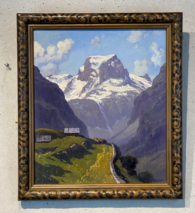 Edwin P. Bachmann - Swiss Art Selection (Gebraucht) in Sursee für CHF 200 – mit Lieferung auf ...