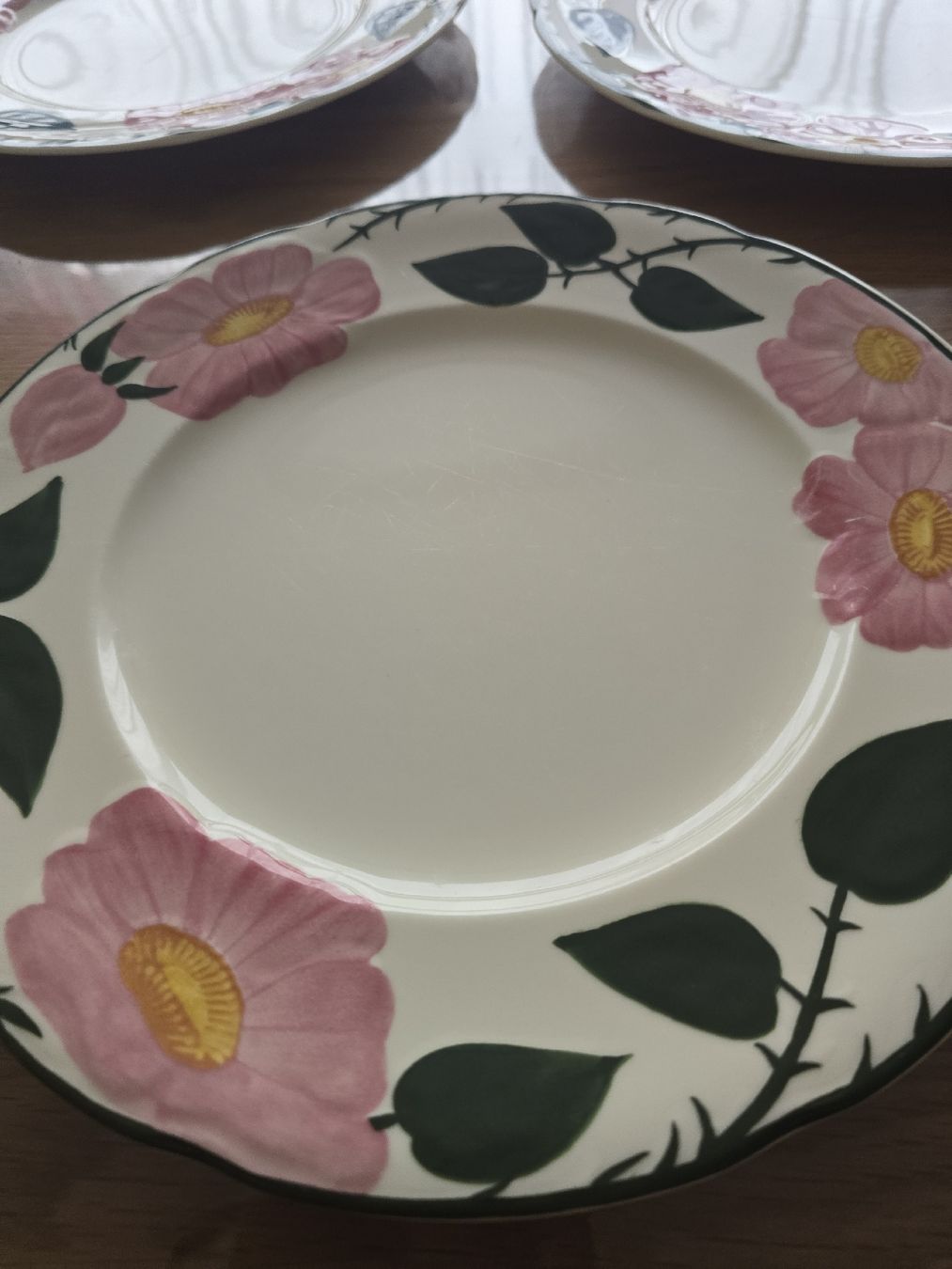 Erstaunlich Villeroy Und Boch Wildrose Neu Ebenbild