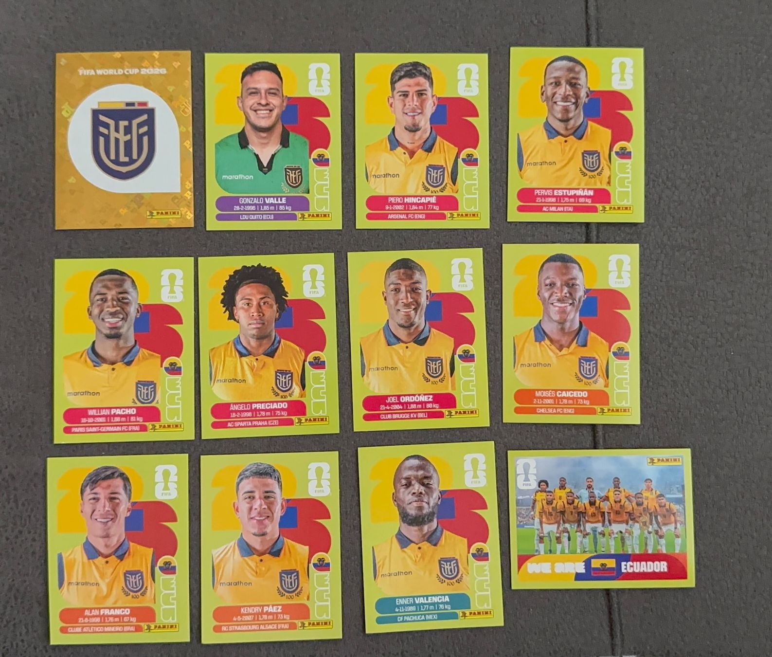 Panini WM 2026 12 Ecuador-Sticker (ECU) (Neu (gemäss Beschreibung)) in ...