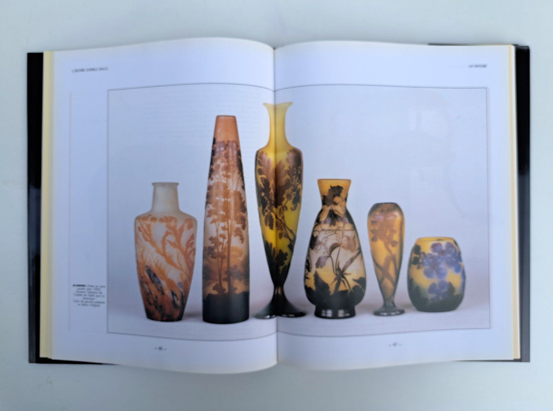 Emile Gallé Buch von Tim Newark, Glas Vase Jugendstil (Gebraucht) in ...