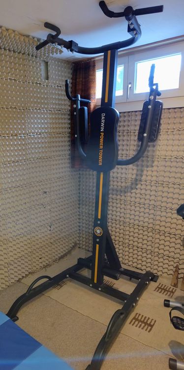 Darwin Power Tower / Bodyweightstation (Gebraucht) in Guntalingen für ...
