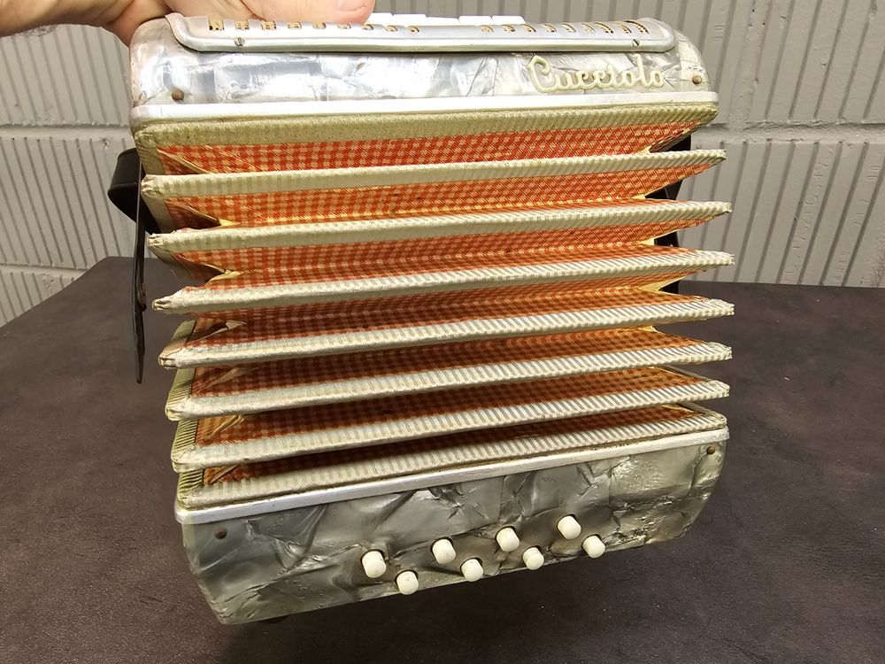 1950 Akkordeon Cucciolo Italy Kids Handorgel Musikinstrument (Gebraucht ...