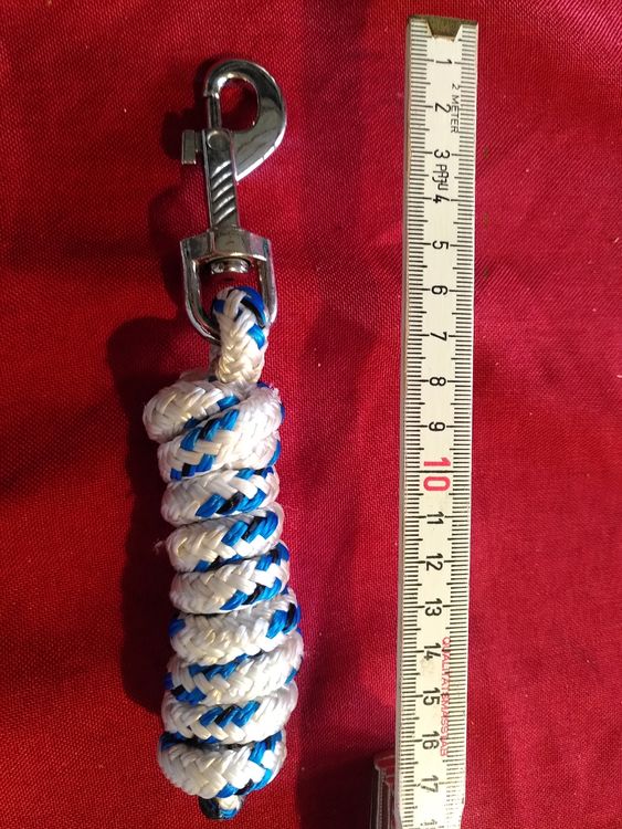 Bringsel (Gebraucht) in Biel/Bienne für CHF 2 – mit Lieferung auf ...