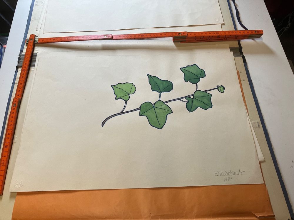 Antike originale Zeichnung, signiert | Kaufen auf Ricardo