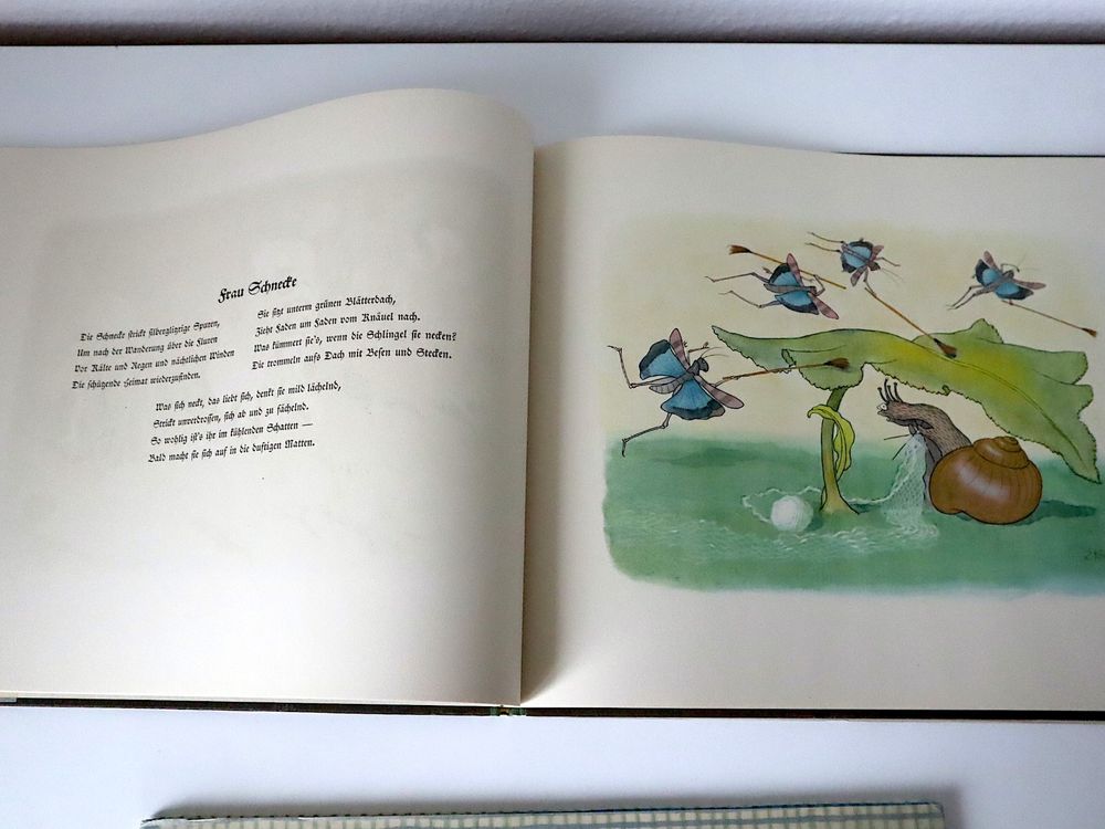 Kinderbücher alt Ernst Kreidolf 20er 30er Vintage Kunst | Kaufen auf ...