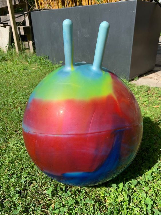 TOGU Springball / Hüpfball Junior Rainbow (Nr. 2) (Gebraucht) in für ...