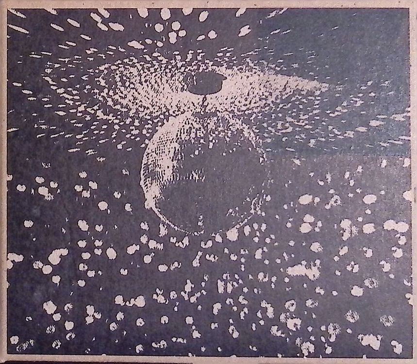 Neil Young – Mirror Ball | Kaufen auf Ricardo