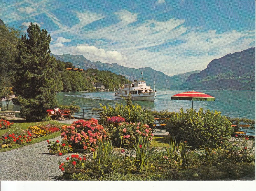 Ringgenberg 1982 (Gebraucht) in Bürglen TG für CHF 0.8 – mit Lieferung ...